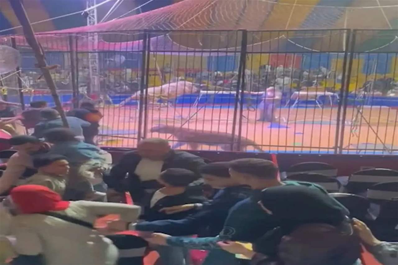 هجوم نمر على عامل في سيرك طنطا بـ مصر.. كان بحالة جوع - Lebanon News